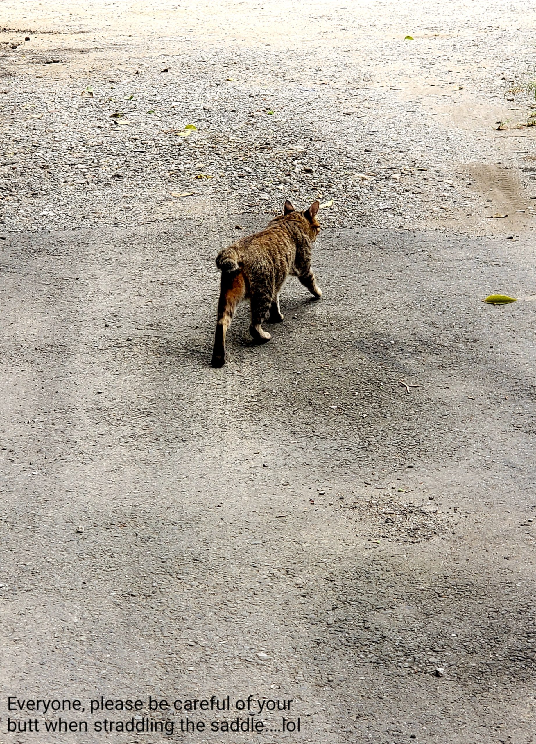 Dylan Mackay. | 藝術集団 劇・創 「髙」